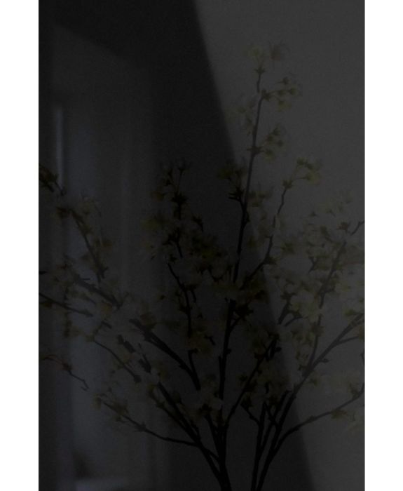 Doorglass solstice | Kally LTD – Exterior & Interior Doors | Toronto ...